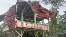 Balai Tempat Santri Mengaji di Abdya Rusak Tertimpa Pohon Tumbang
